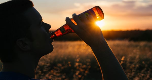 Royal Easter Show Sydney at Grasso gorman | Backpacker Job Board